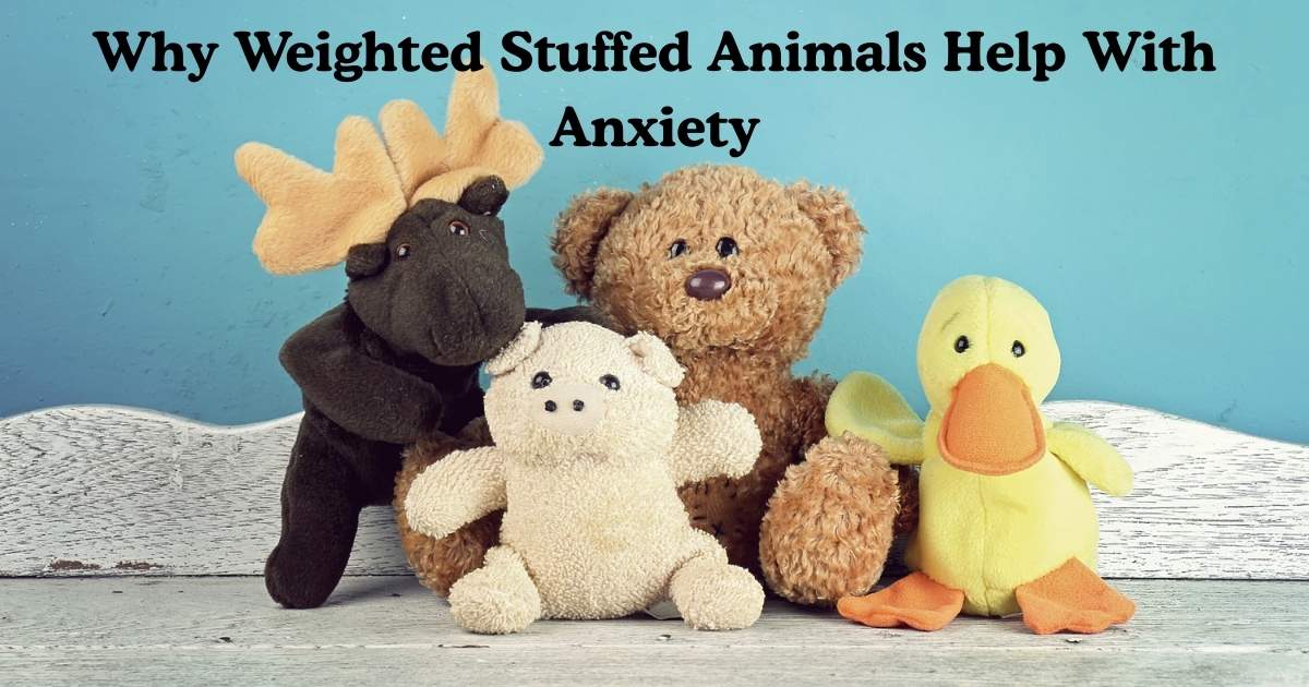 Why Weighted Stuffed Animals Help With Anxiety – Science, Benefits, and ...